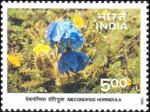 Stamp: Meconopsis horridula (India(Himalayan Ecology) Mi:IN 1504I,Sn:IN ...