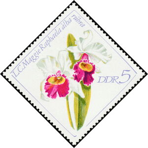 Stamp: Laelio-Cattleya Maggie Raphaela alba rubra (Germany, Democratic ...