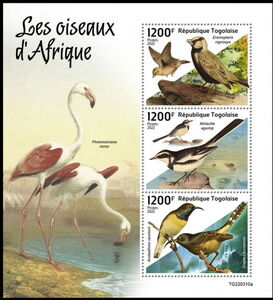 Stamp: Birds of Africa (Togo(Birds of Africa (2022)) Yt:TG 10072-10074 📮