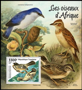 Stamp: Birds of Africa (Togo(Birds of Africa (2022)) Col:TG 2022.09.01-30
