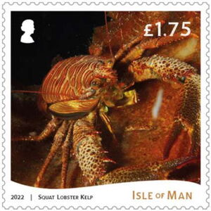 Stamp: Squat Lobster (Galathea squamifera) (Isle of Man(Underwater ...