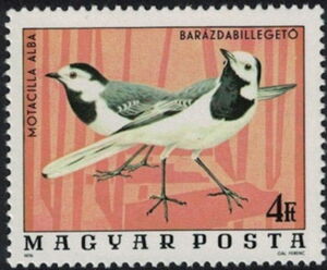Stamp: White Wagtail (Motacilla alba) (Hungary(Birds from Hortobágy ...