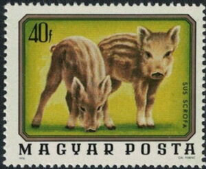 Stamp: Wild Boar (Sus scrofa) (Hungary(Young Animals (1976)) Mi:HU ...