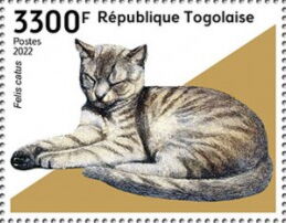 Stamp: Cat (Togo(Cats (2022)) Col:TG 2022.09.01-47a