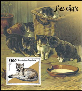 Stamp: Cats (Togo(Cats (2022)) Col:TG 2022.09.01-47