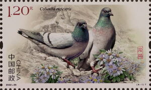 Stamp: Hill Pigeon (Columba rupestris) (China, People's Republic ...
