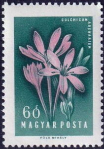 Známky: Sand Affron (Colchicum arenarium) (Maďarsko(Flowers (1958)) Mi ...
