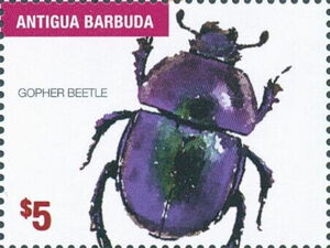Stamp: Gopher Beetle (Antigua and Barbuda(Insects (2022)) Sn:AG 3649d ...