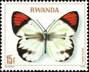 Stamp: Smoky Orange Tip (Colotis evippe) (Rwanda(Butterflies (1979)) Mi ...
