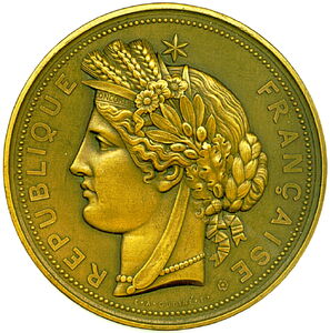 Decoration: Establishment of the French Republic (France(Souvenir Medal ...