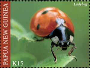 Stamp: Ladybug (Coccinellidae sp) (Papua New Guinea(Insects of Papua ...