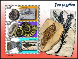 Stamp: Fossils (Chad(Fossils (2022)) Col:TD 2022-04