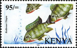 Stamp: Redbreast Tilapia (Coptodon rendalli) (Kenya(Fish of Lake ...