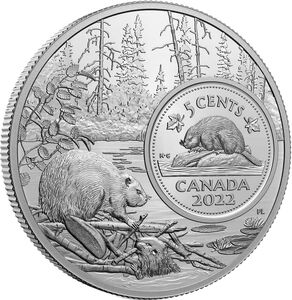 Coin: 5 Cents (Beaver 5 Cents) (Canada(2022 - The Bigger Picture of ...