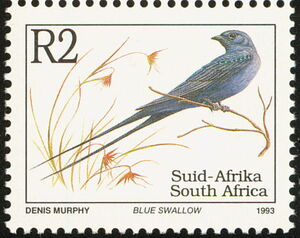 Stamp: Blue Swallow (Hirundo atrocaerulea) (South Africa(Definitives ...