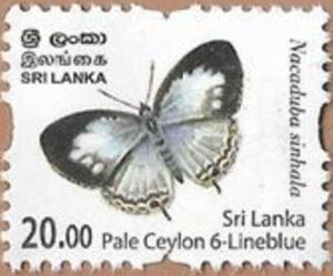 Stamp: Pale Ceylon Six-Line Blue (Nacaduba sinhala) (Sri Lanka(Endemic ...