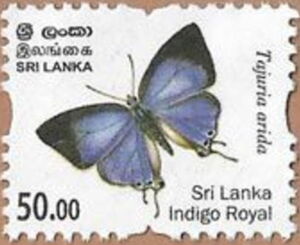 Stamp: Sri Lanka Indigo Royal (Tajuria arida) (Sri Lanka(Endemic ...