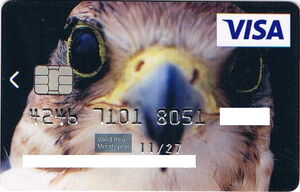 Bank Card: Hawk (ING Bank Śląski SA, PolandCol:PL-VI-0854