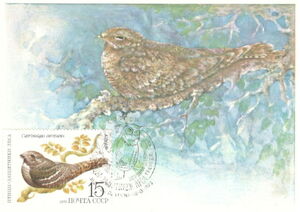 Postcard: Birds - protectors of the forest (Soviet Union, USSR(Birds ...