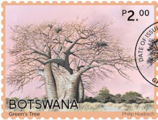 Stamp: Green's Tree (Botswana(Baobab Trees of Botswana (2022)) Mi:BW ...