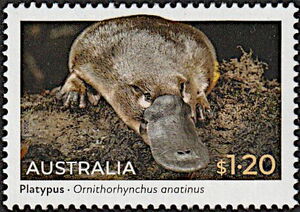 Stamp: Platypus (Ornithorhynchus anatinus) (Australia(Native Animals of ...