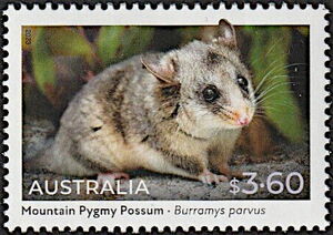 Stamp: Mountain Pygmy Possum (Burramys parvus) (Australia(Native ...