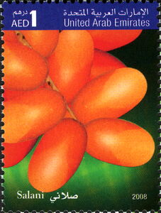 Stamp: Dates of UAE - Abumaan (United Arab Emirates(Dates of U.A.E) Mi ...