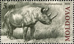 Stamp: Merck's Rhinoceros (Stephanorhinus kirchbergensis) (Moldova ...