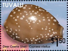 Stamp: Deer Cowrie Shell (Cypraea vitellus) (Tuvalu(The World of ...