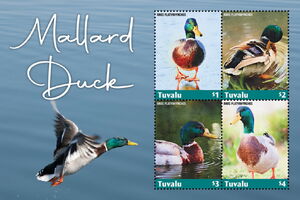 Stamp: Mallard Duck (Tuvalu(Mallard Duck (2022)) Col:TV 2022.11.21-01