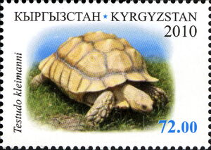 Stamp: Kleinmann's Tortoise (Testudo kleinmanni) (Kyrgyzstan(Fauna of ...