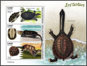 Stamp: Turtles (Chad(Turtles (2022)) Col:TD 2022-31