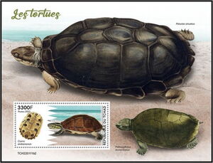 Stamp: Cuora amboinensis (Chad(Turtles (2022)) Col:TD 2022-33