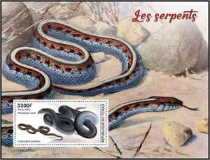 Stamp: Pseudaspis cana/Lamprophis guttatus (Chad(Snakes (2022)) Yt:TD BF673