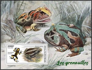 Stamp: Dendrobates tinctorius/Rhinella icterica (Chad(Frogs (2022)) Col ...