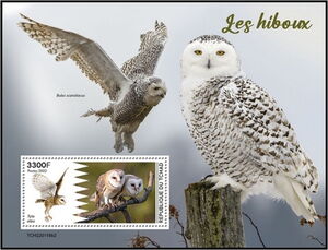 Stamp: Tyto alba (Chad(Owls (2022)) Col:TD 2022-54