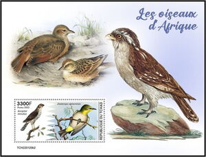 Stamp: Accipiter minullus/Zosterops comorensis (Chad(Birds of Africa ...