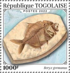 Stamp: Beryx germanus (Togo(Fossils (2022)) Col:TG 2022.01.31-01b