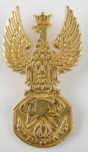 Decoration: Eagle on the cap of the PSP (Poland(Cap Badges) Col:PL-001142