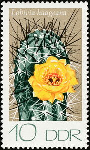 Stamp: Marsoner's hedgehog cactus (Lobivia haageana) (Germany ...