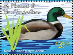 Stamp: Mallard (Anas platyrhynchos) (Saint Vincent and The Grenadines ...