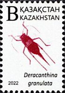 Stamp: Deracanthina granulata (Kazakhstan(Insects of Kazakhstan (2022 ...