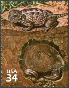 Stamp: Pygmy Short-horned Lizard, Plains Pocket Gopher (United States ...