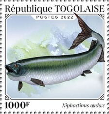 Stamp: Xiphactinus audax (Togo(Prehistoric Water Animals (2022)) Col:TG ...