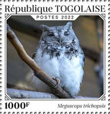 Stamp: Whiskered Screech Owl (Megascops trichopsis) (Togo(Owls (2022 ...