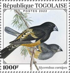 Stamp: White-winged Grosbeak (Mycerobas carnipes) (Togo(Birds of Asia ...
