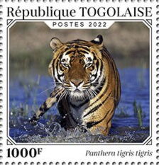 Stamp: Bengal Tiger (Panthera tigris tigris) (Togo(Tigers (2022)) Col ...