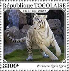 Stamp: Bengal Tiger (Panthera tigris tigris) (Togo(Tigers (2022)) Col ...