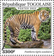 Stamp: Javan Tiger (Panthera tigris sondaica) (Togo(Tigers (2022)) Col ...