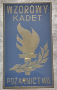 Decoration: Golden badge "Exemplary Fire Service Cadet" (Poland(Fire ...